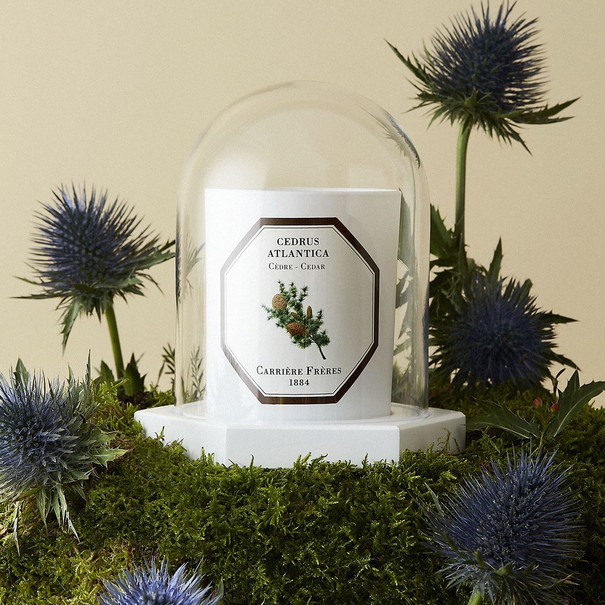 Le Dome - Candle glass dome and base by Carriere Freres – Paradou
